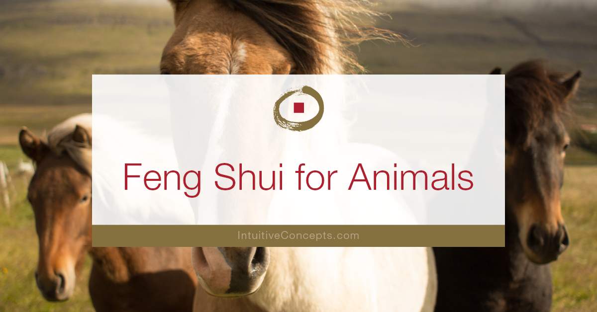 Feng Shui for Animals - Intuitive Concepts